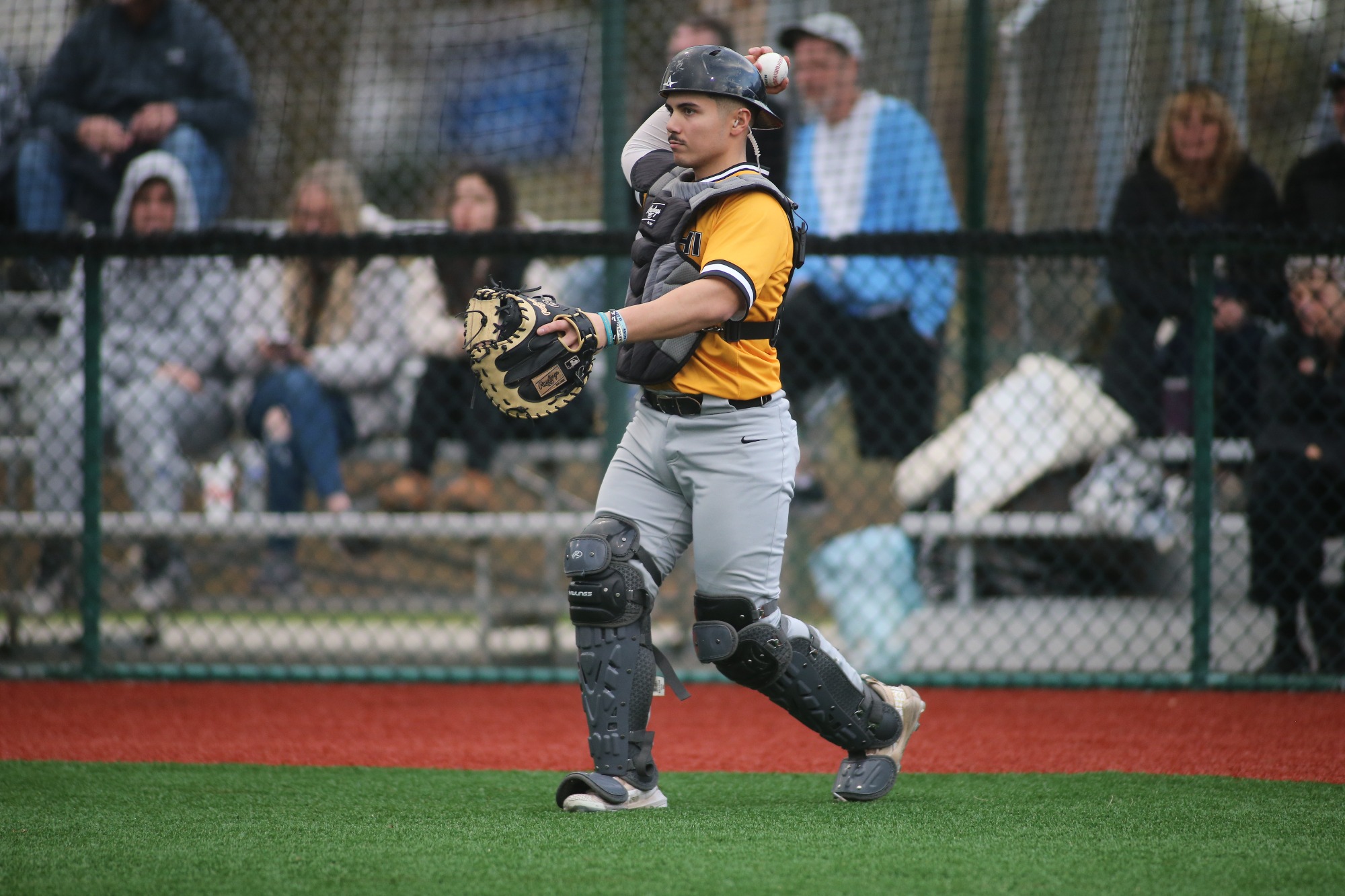 Jose Matos - Baseball - Adelphi University Athletics