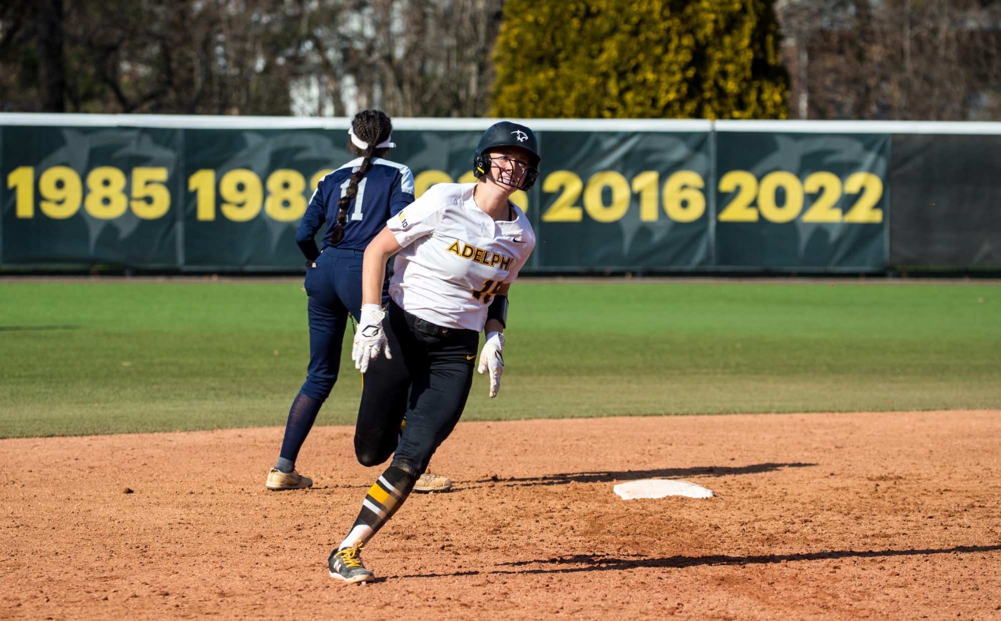 Brianna Fischer - Softball - Adelphi University Athletics