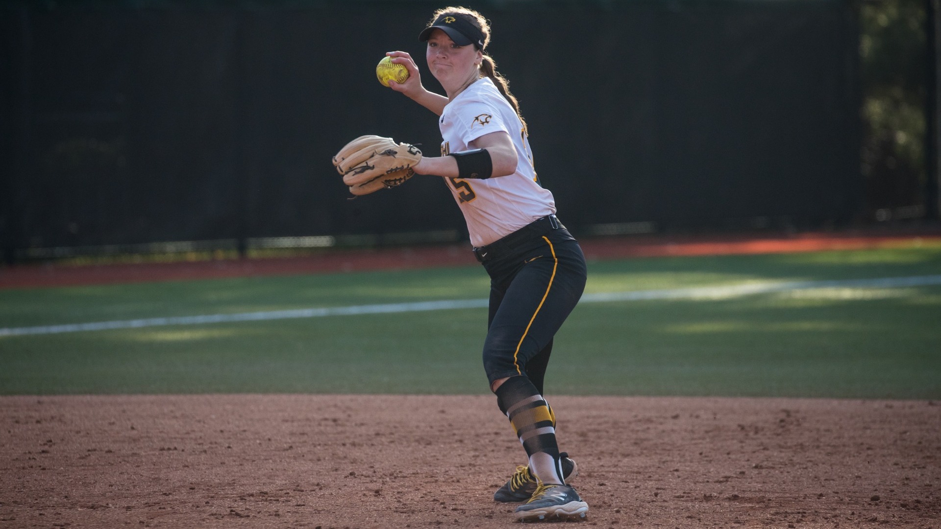 Brianna Fischer - Softball - Adelphi University Athletics