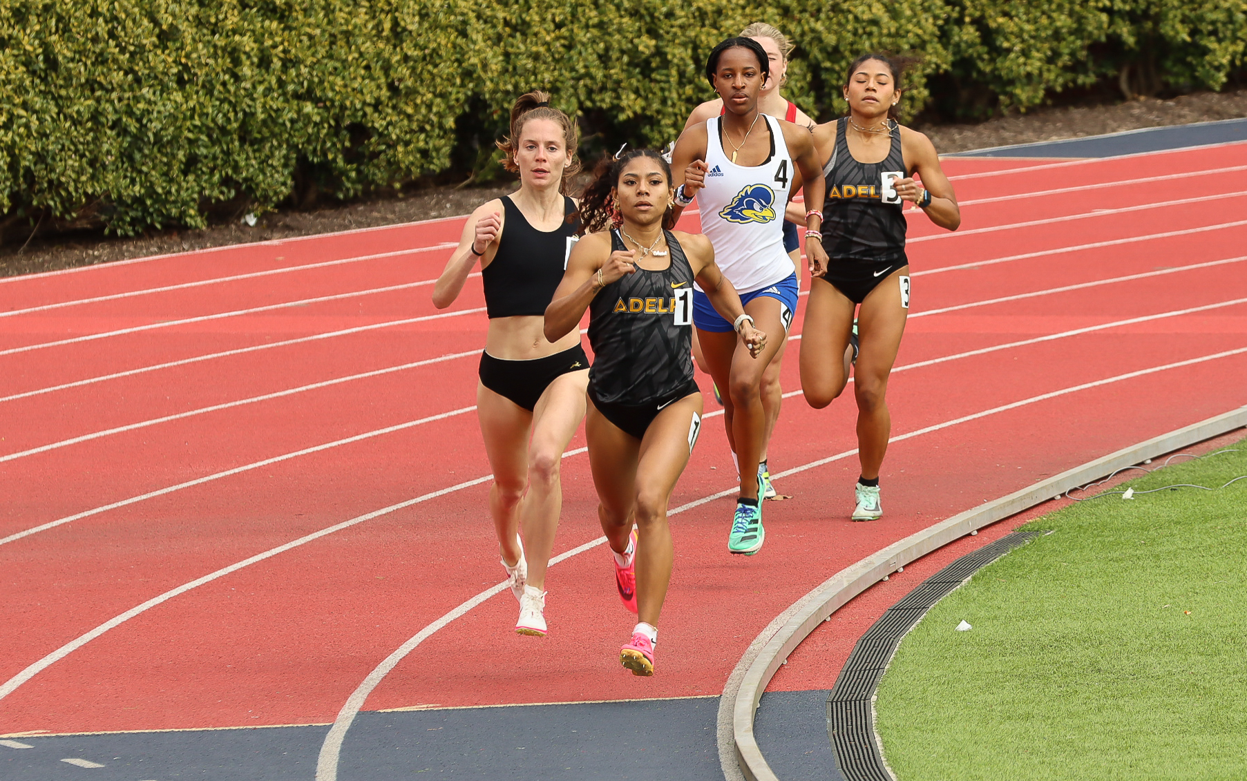 Katherine Marsh - Track and Field - Adelphi University Athletics