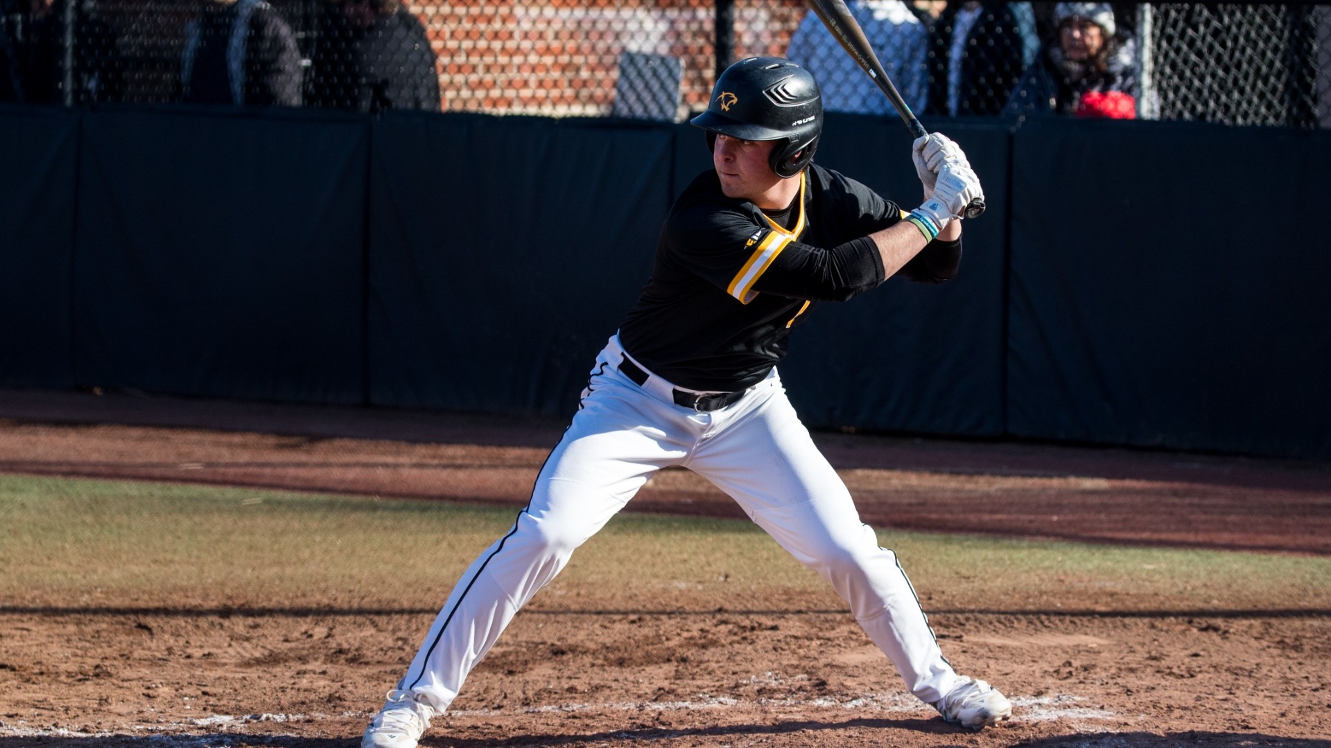 Anthony Rigogliosi - Baseball - Adelphi University Athletics