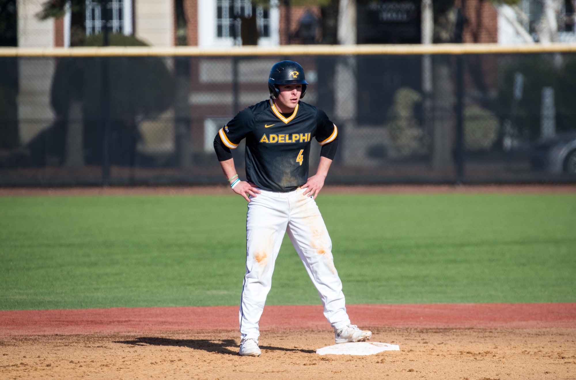 Anthony Rigogliosi - Baseball - Adelphi University Athletics