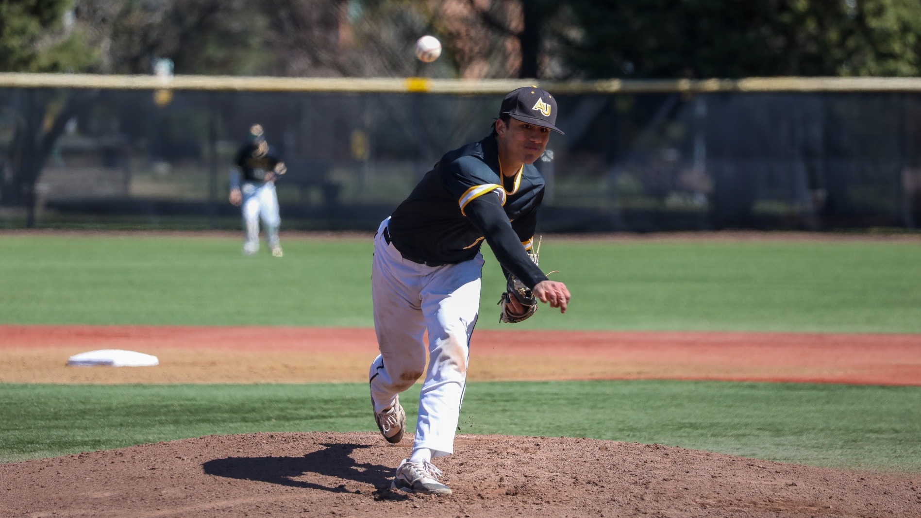 Mike Gaffney Named Adelphi Baseball Head Coach - Adelphi University ...