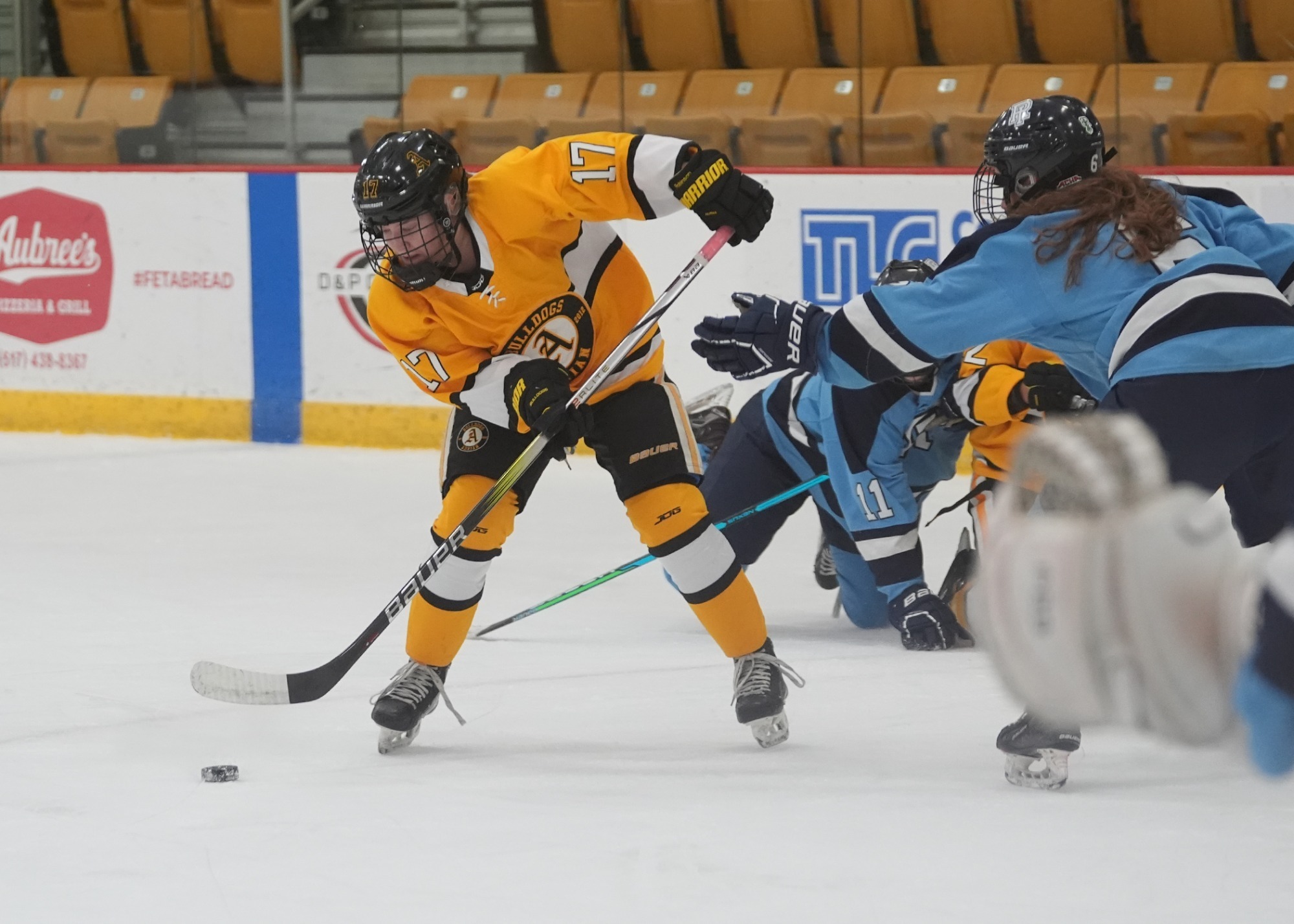 Women's ACHA D1 Hockey Grab No. 3 Seed for Next Month's ACHA National ...