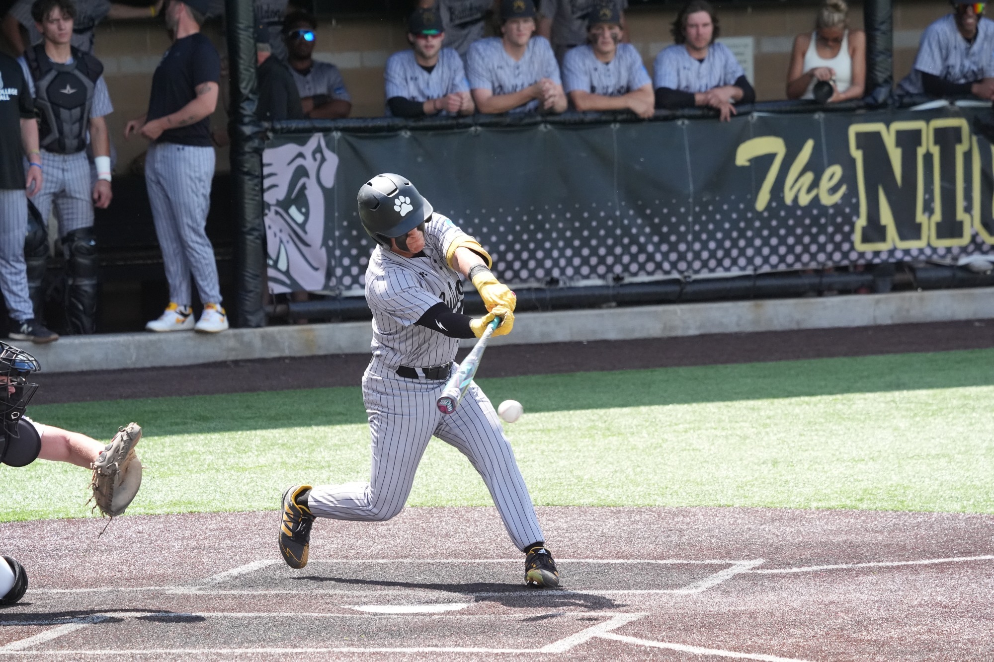 Adrian Baseball to Serve as Host Site of NCAA Regionals May 16-18 ...