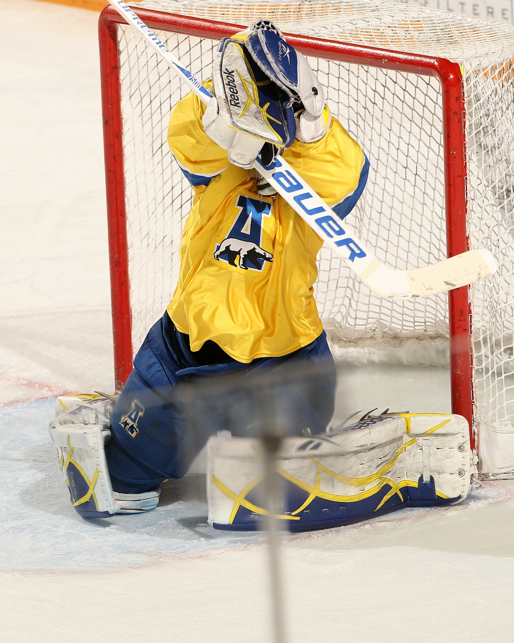 Scott Greenham - Men's Ice Hockey - University of Alaska Fairbanks ...
