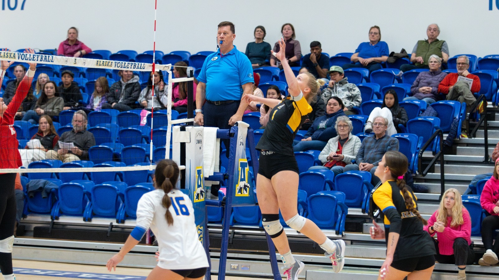 Nanooks Volleyball Announces Upcoming 2025 Season Schedule - University ...