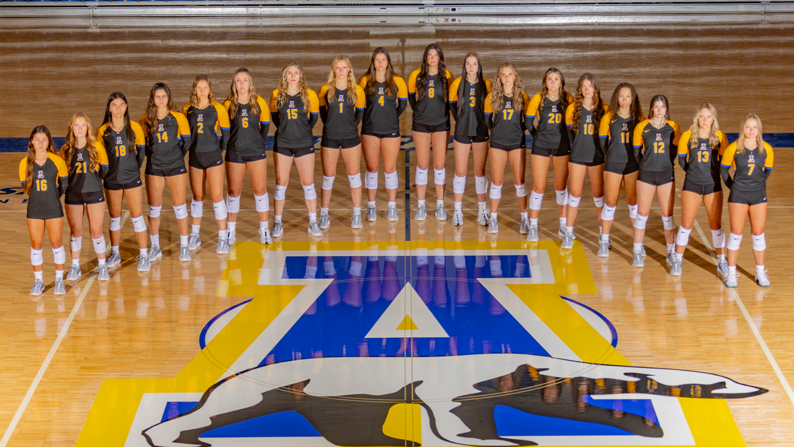 Mikala Henderson Set to Join Nanooks Volleyball for 2025 - University ...