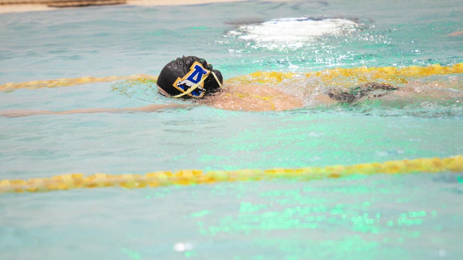 Alaska Swimming Sits in Fourth After Day One of PCSC Championships ...