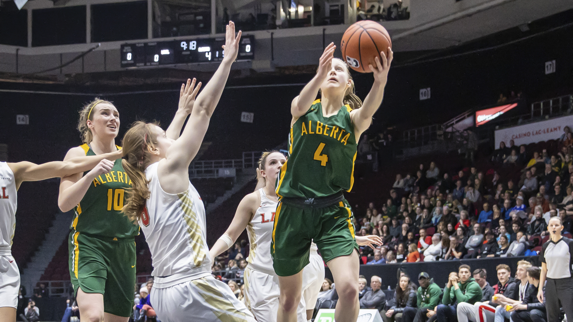 Jenna Harpe - 2023-24 - Pandas Basketball - University of Alberta