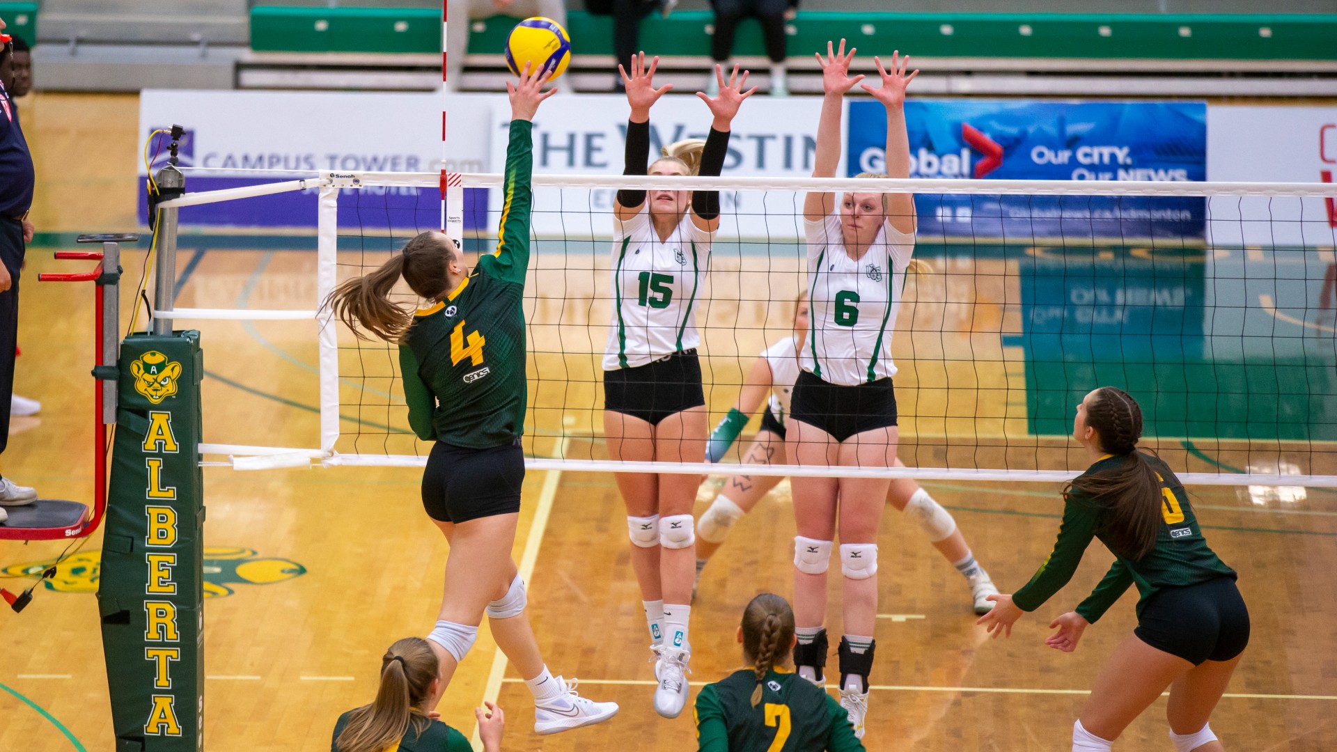 Lauryn Tremblay - 2023-24 - Pandas Volleyball - University of Alberta