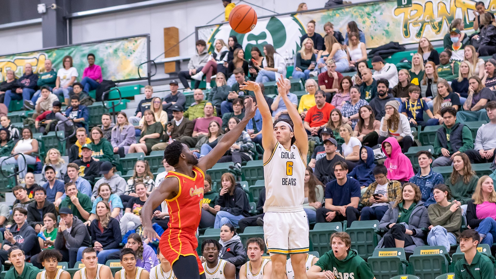 Brandon Meiklejohn - 2023-24 - Golden Bears Basketball - University of ...