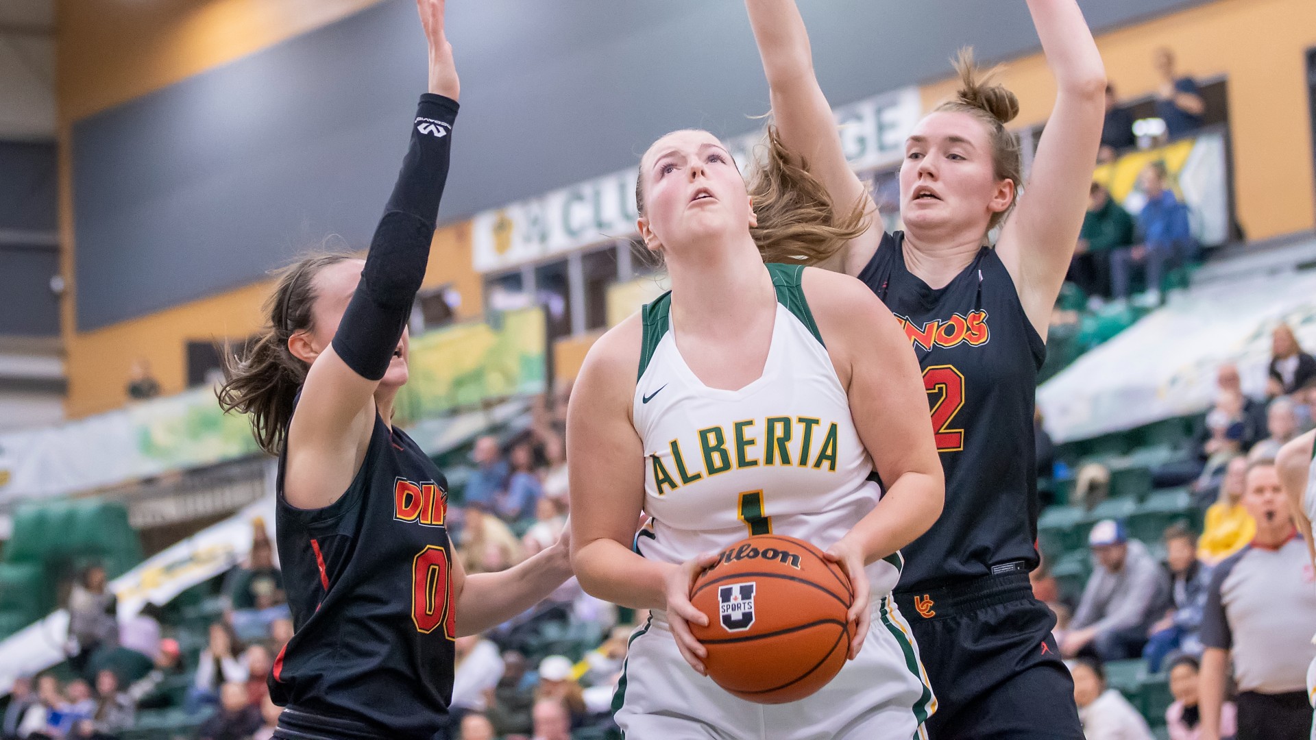 Shae McCusker - 2023-24 - Pandas Basketball - University of Alberta