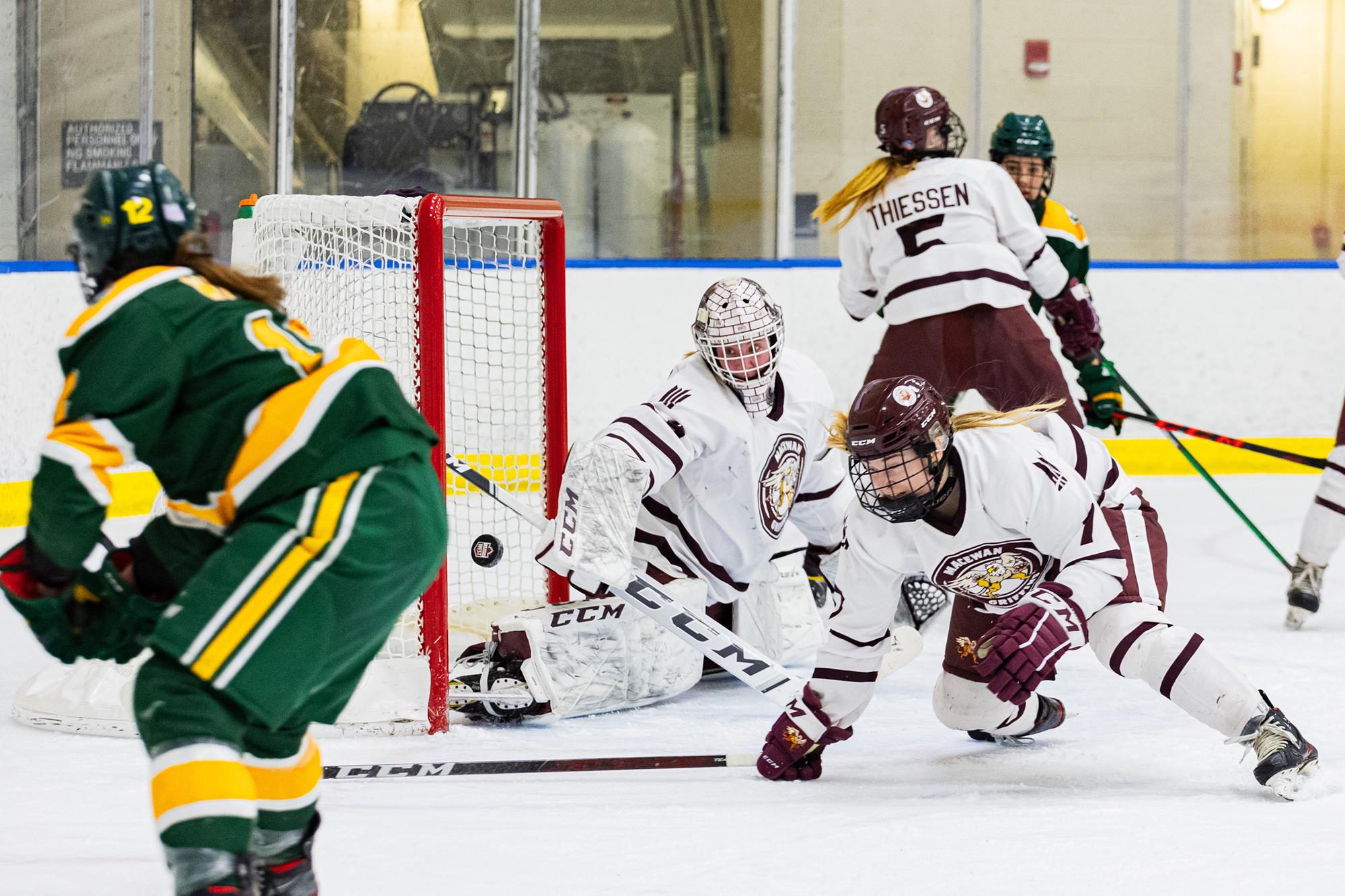 Willan powers Pandas to road win over Griffins - University of Alberta