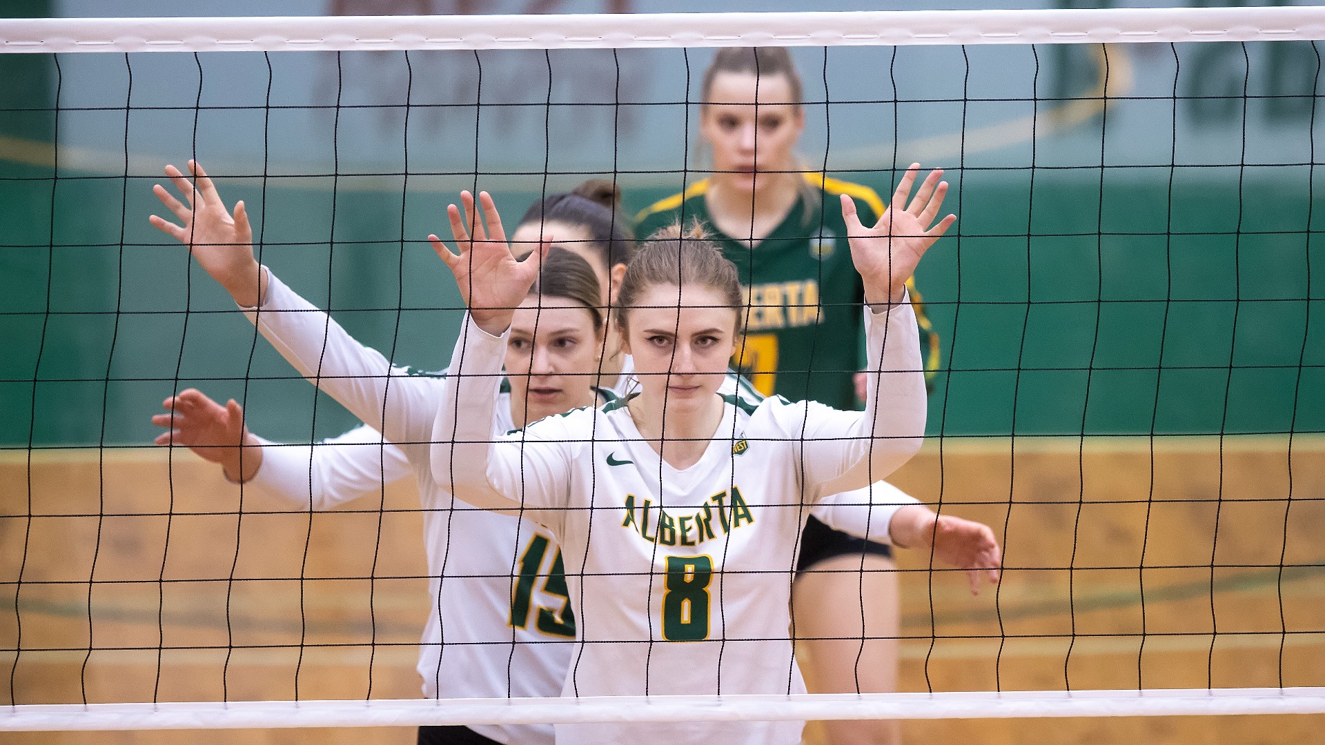 Vanessa Jarman - 2021-22 - Pandas Volleyball - University of Alberta