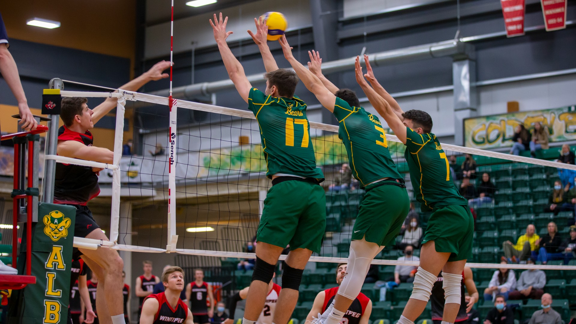 Billy Johnstone - 2023-24 - Golden Bears Volleyball - University of Alberta