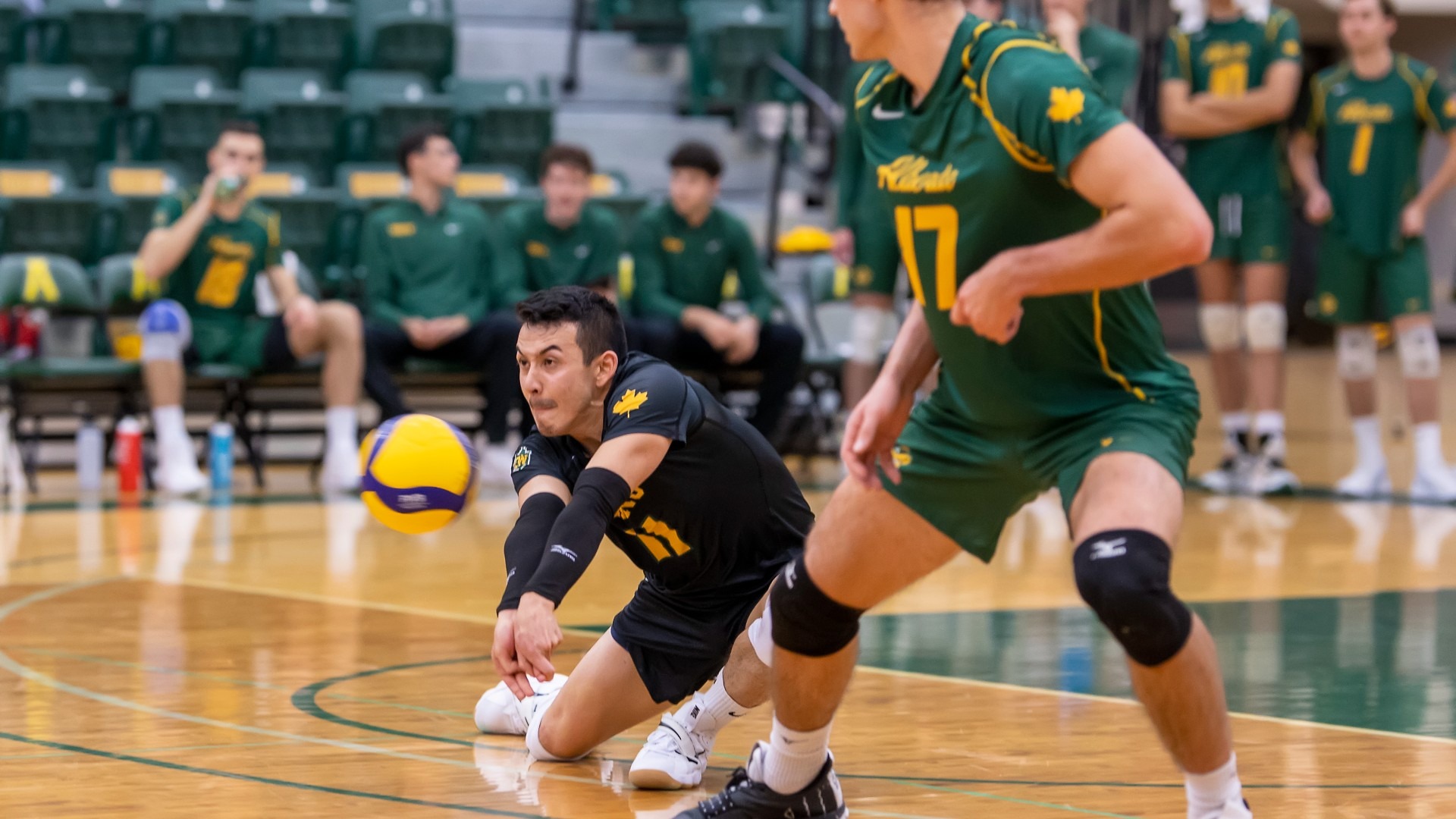 Landon Currie - 2022-23 - Golden Bears Volleyball - University of Alberta