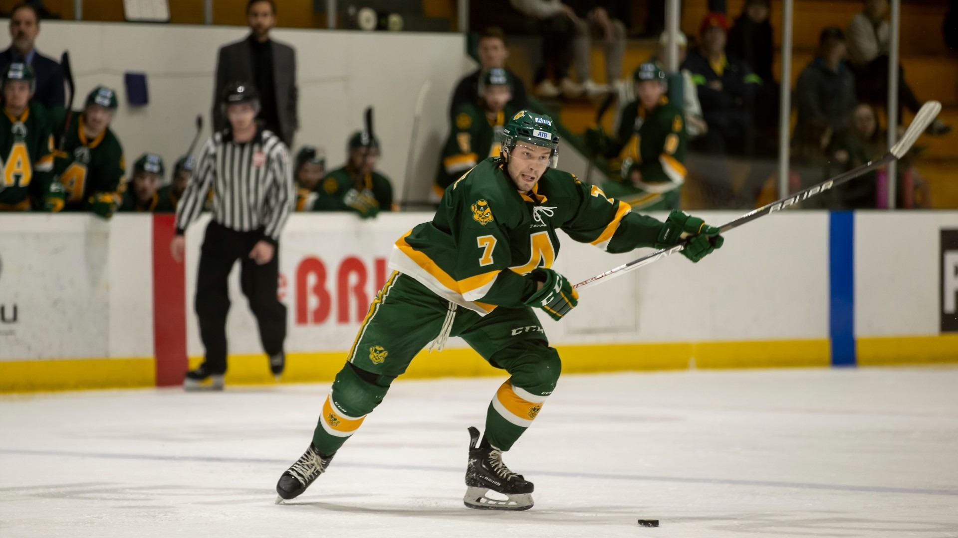 Bears struggle to beat Evanoff, lose to Cougars in 3-2 overtime ...