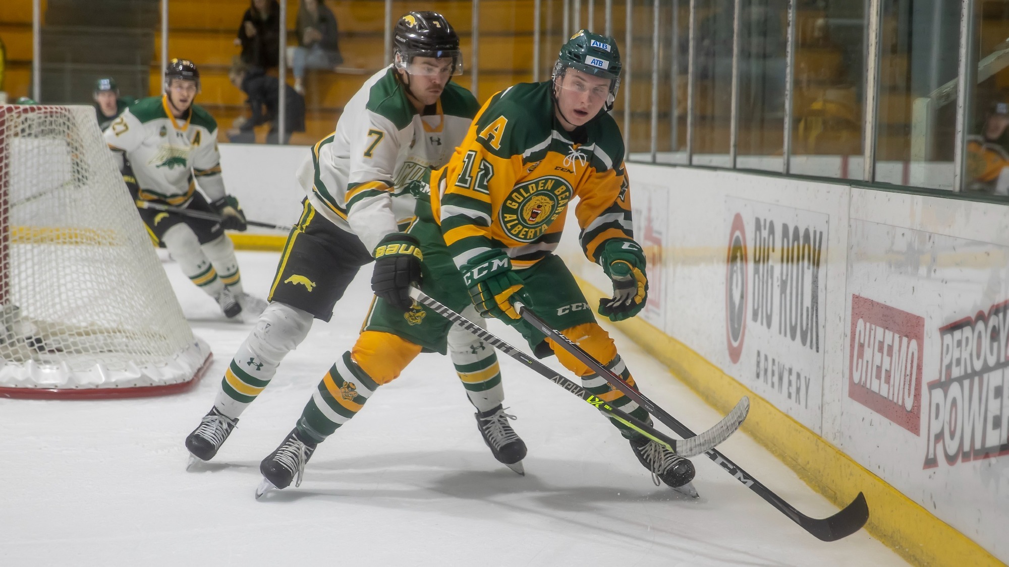 Hall pots two to lead Alberta to 4-2 victory over Regina - University ...