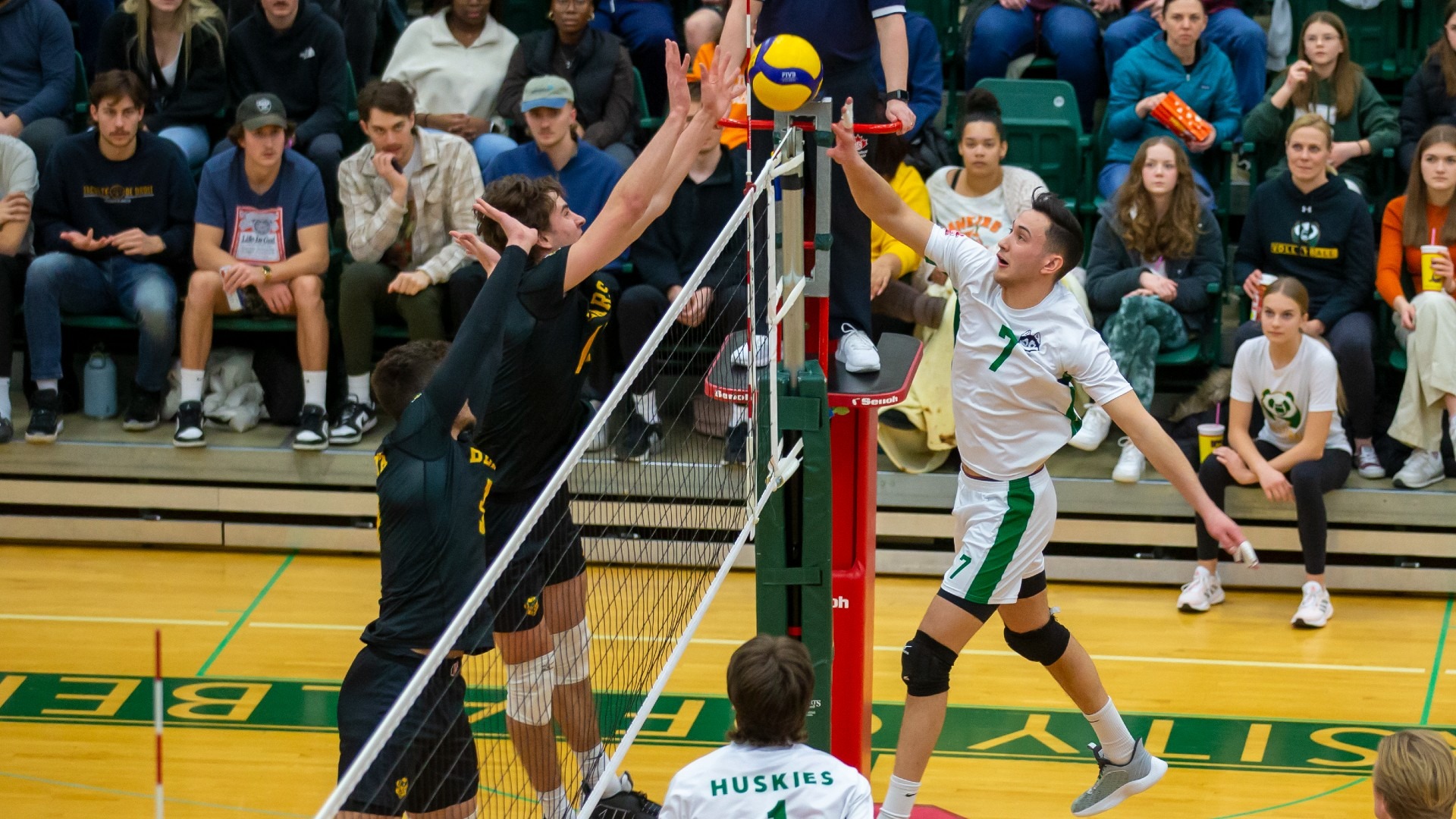 Isaac Heslinga - 2022-23 - Golden Bears Volleyball - University of Alberta