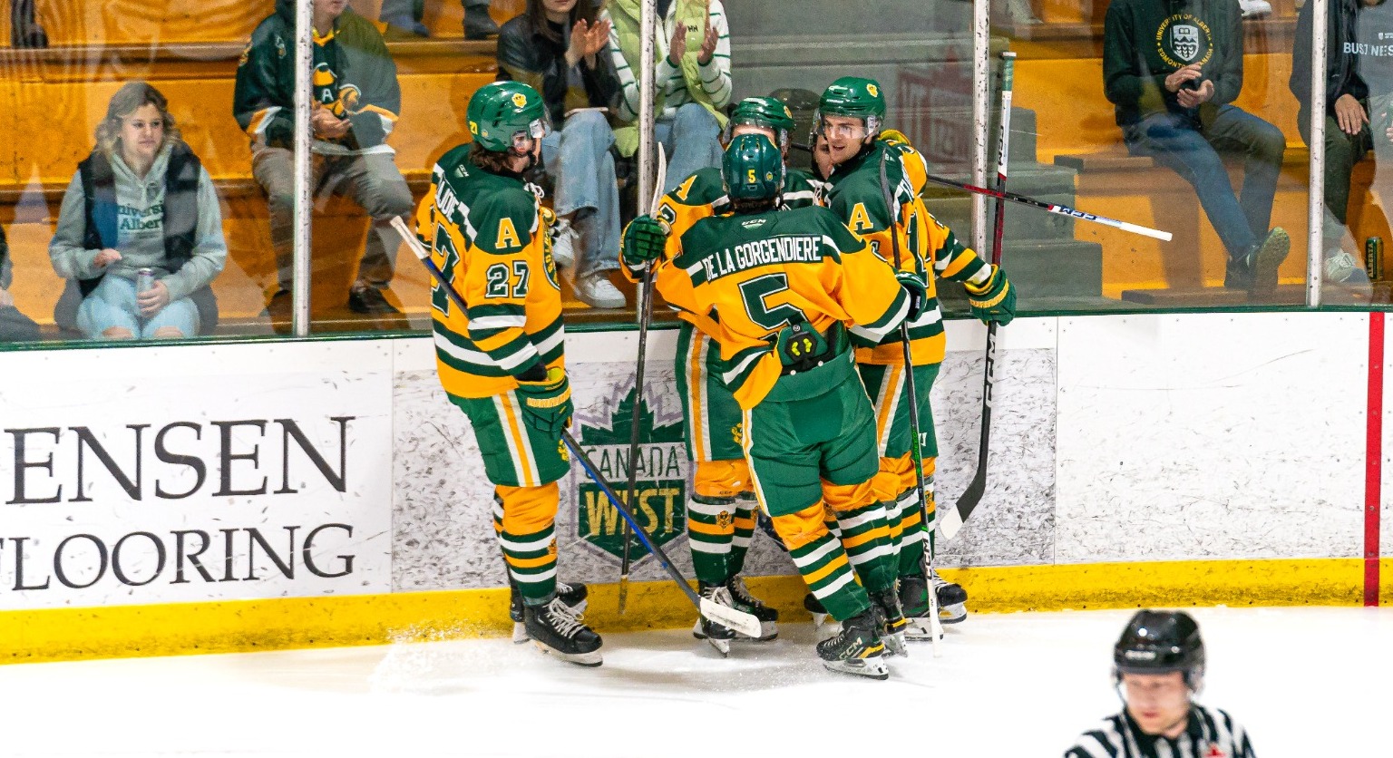 Bears Hockey to host first-ever Teddy Bear Toss on Friday - University ...