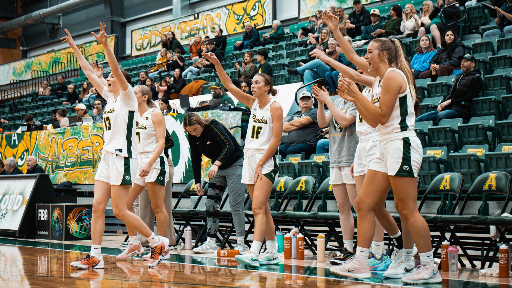 Bears & Pandas Weekly Preview - January 12, 2026 - University of Alberta