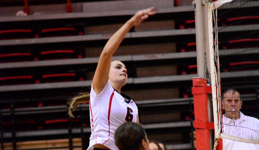 Katie Schmerse - Women's Volleyball - Albright College Athletics