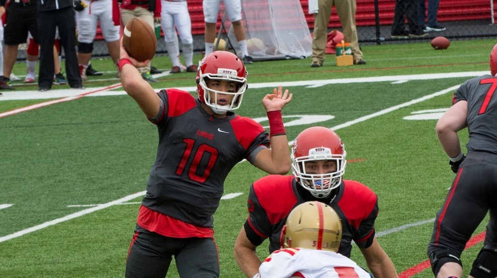 Alec Vignola - Football - Albright College Athletics