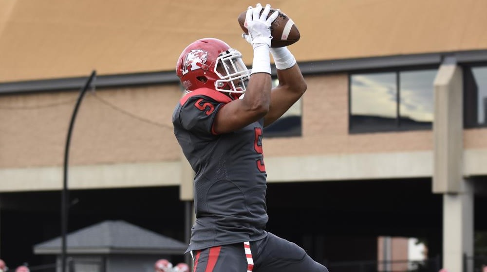 Malik Jackson - Football - Albright College Athletics