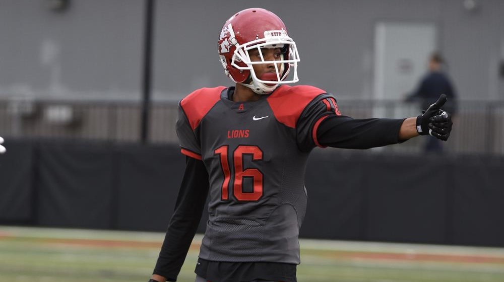 Mike Jordan - Football - Albright College Athletics