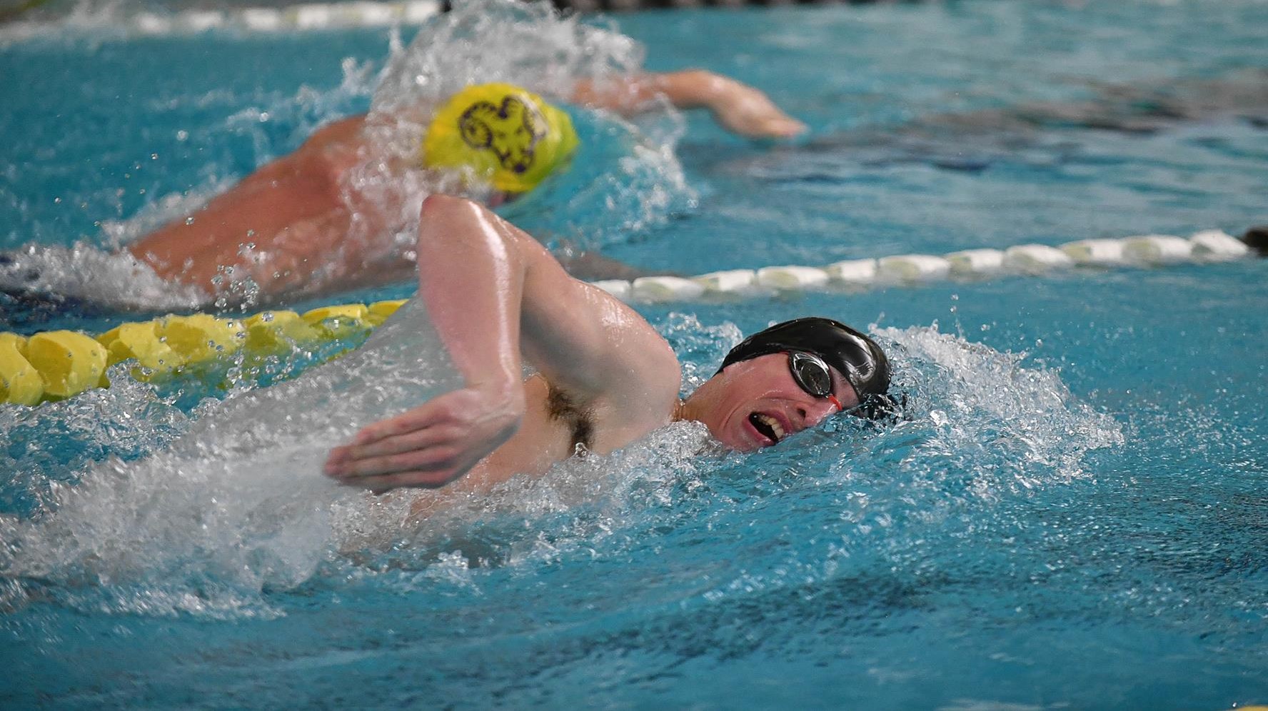 Teag Culver - Men's Swimming - Albright College Athletics