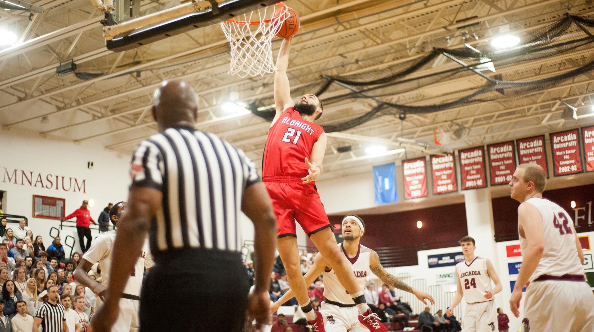 Jared Rappoport - Men's Basketball - Albright College Athletics