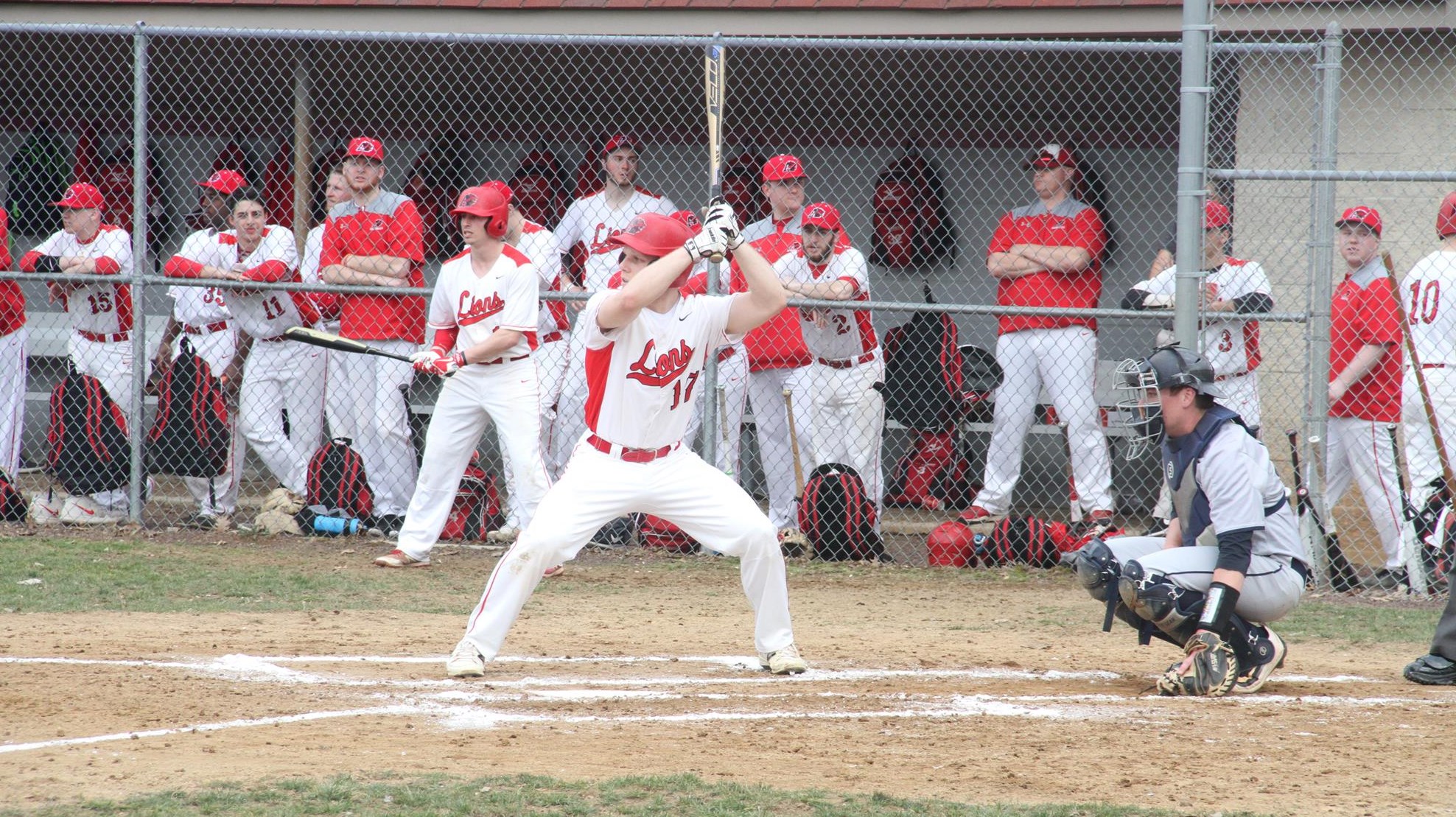 Josh Jacavage - Baseball - Albright College Athletics