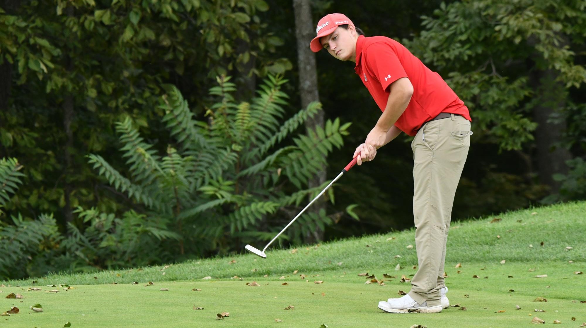 Mike Waugh - Men's Golf - Albright College Athletics