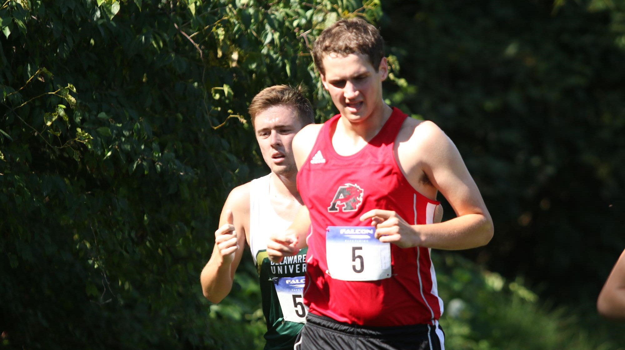CJ Bilik - Men's Cross Country - Albright College Athletics