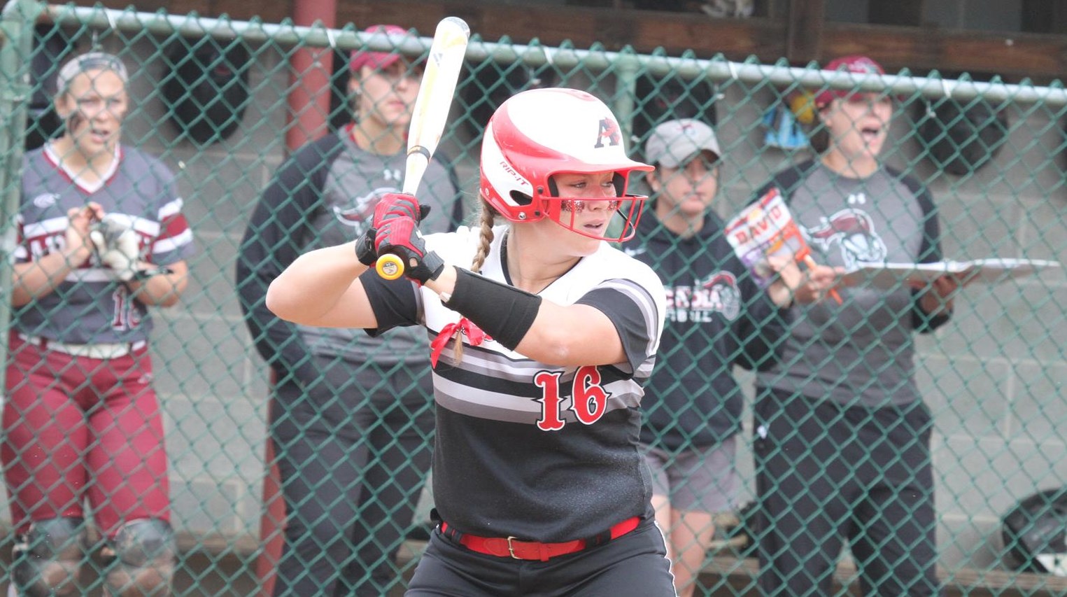Camille Sears - Softball - Albright College Athletics