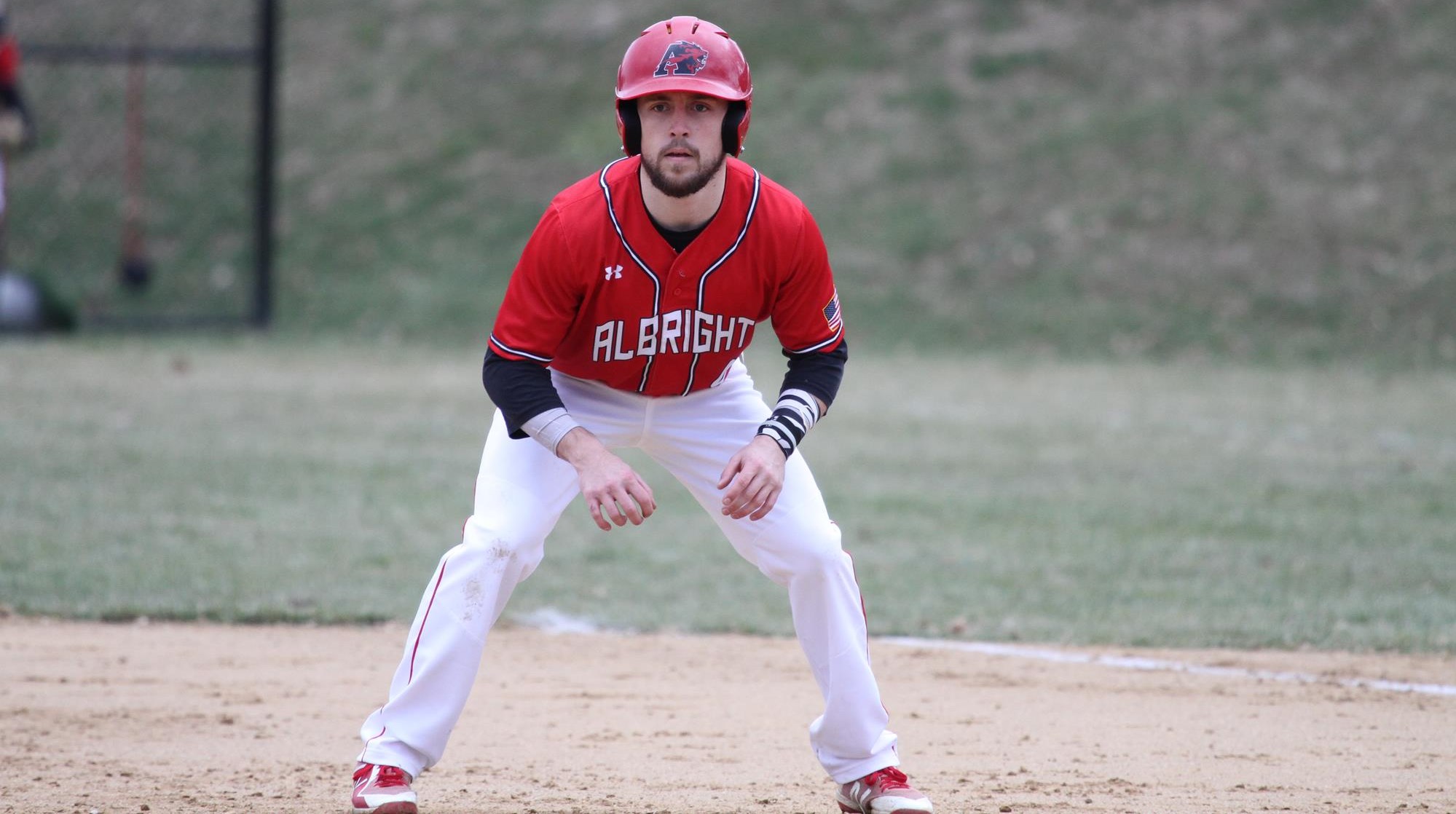 Brandon Daubert - Baseball - Albright College Athletics