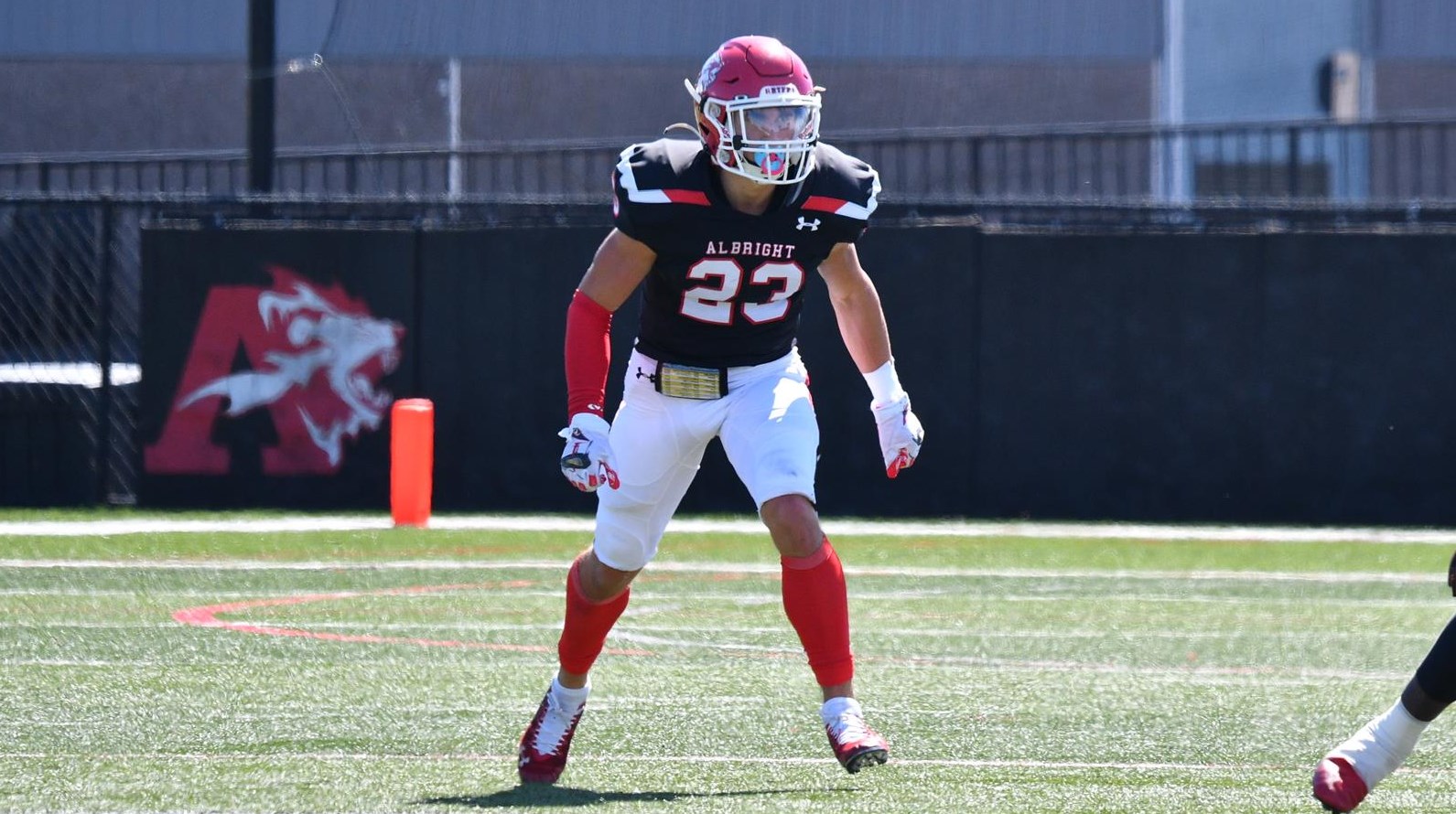 Ryan MacFarlane - Football - Albright College Athletics