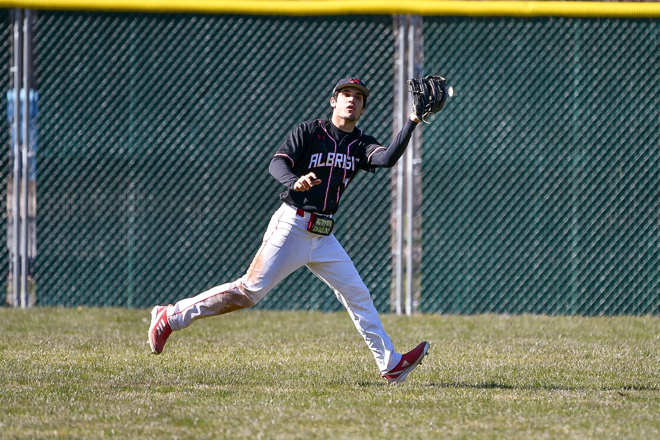 Lewman & Tesoriere Lead Baseball to Game 1 Win; Splits with Alvernia ...