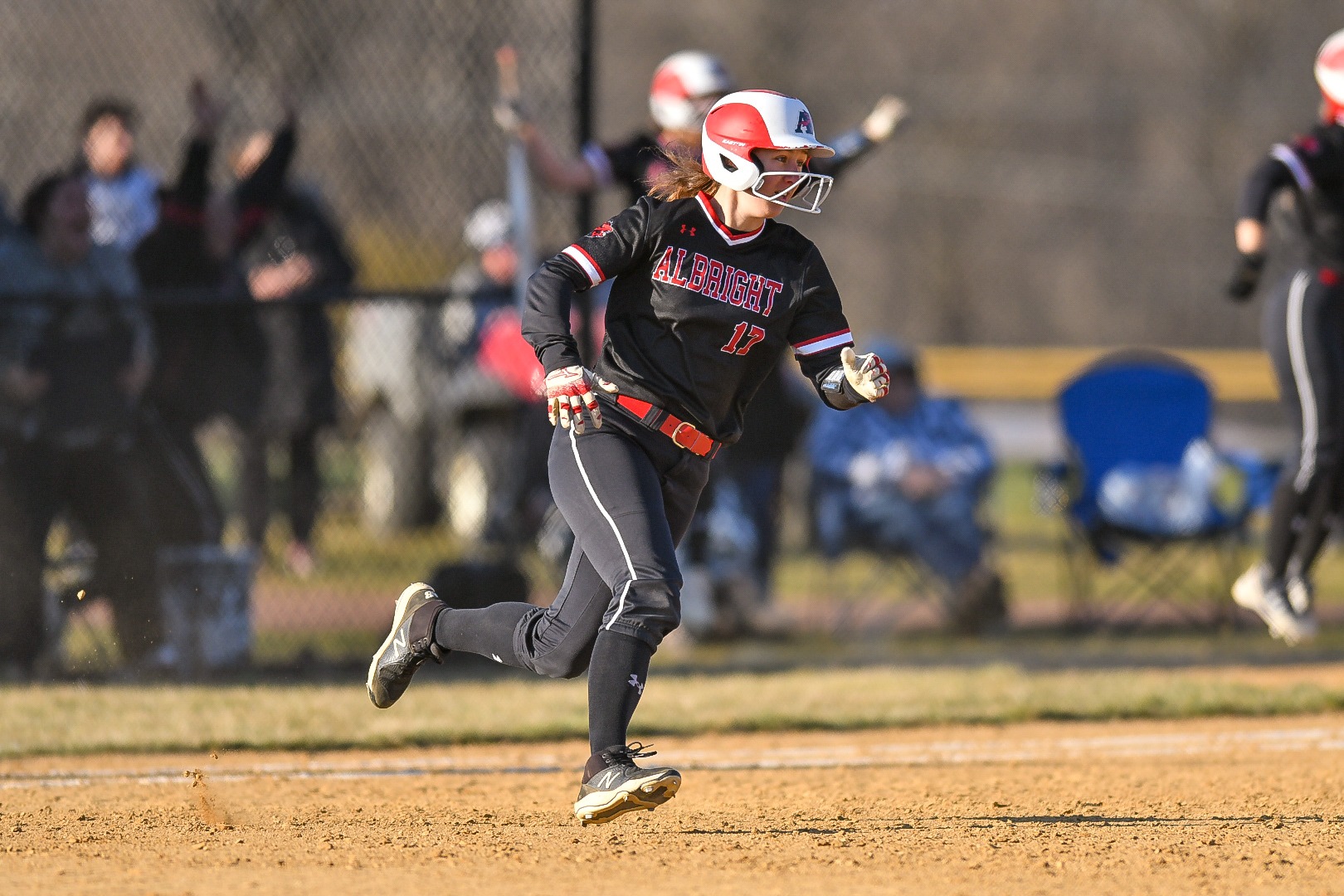 Softball Falls at Home to PSU Schuylkill - Albright College Athletics