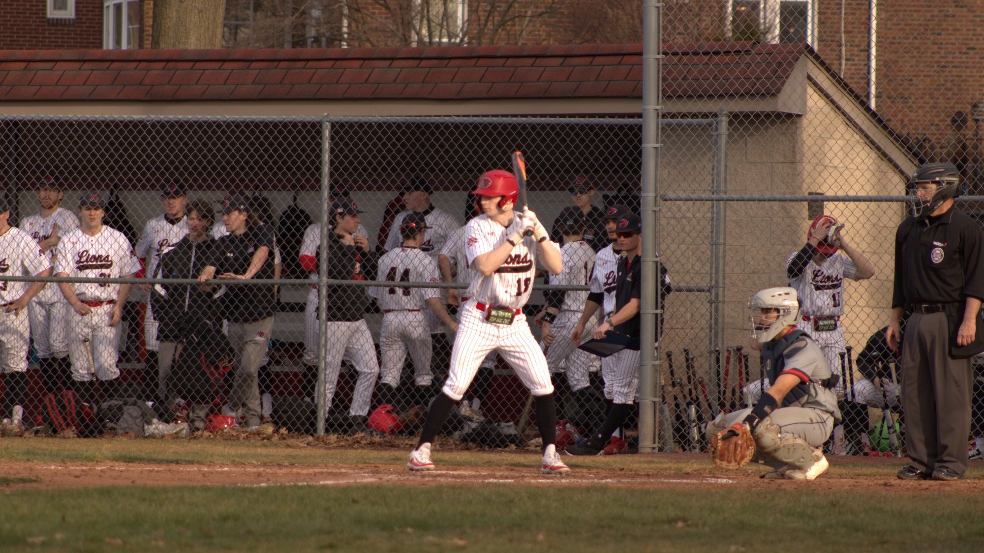 Baseball Drops Game 1 To Wilkes; Lions Led Game 2 Before Suspension ...