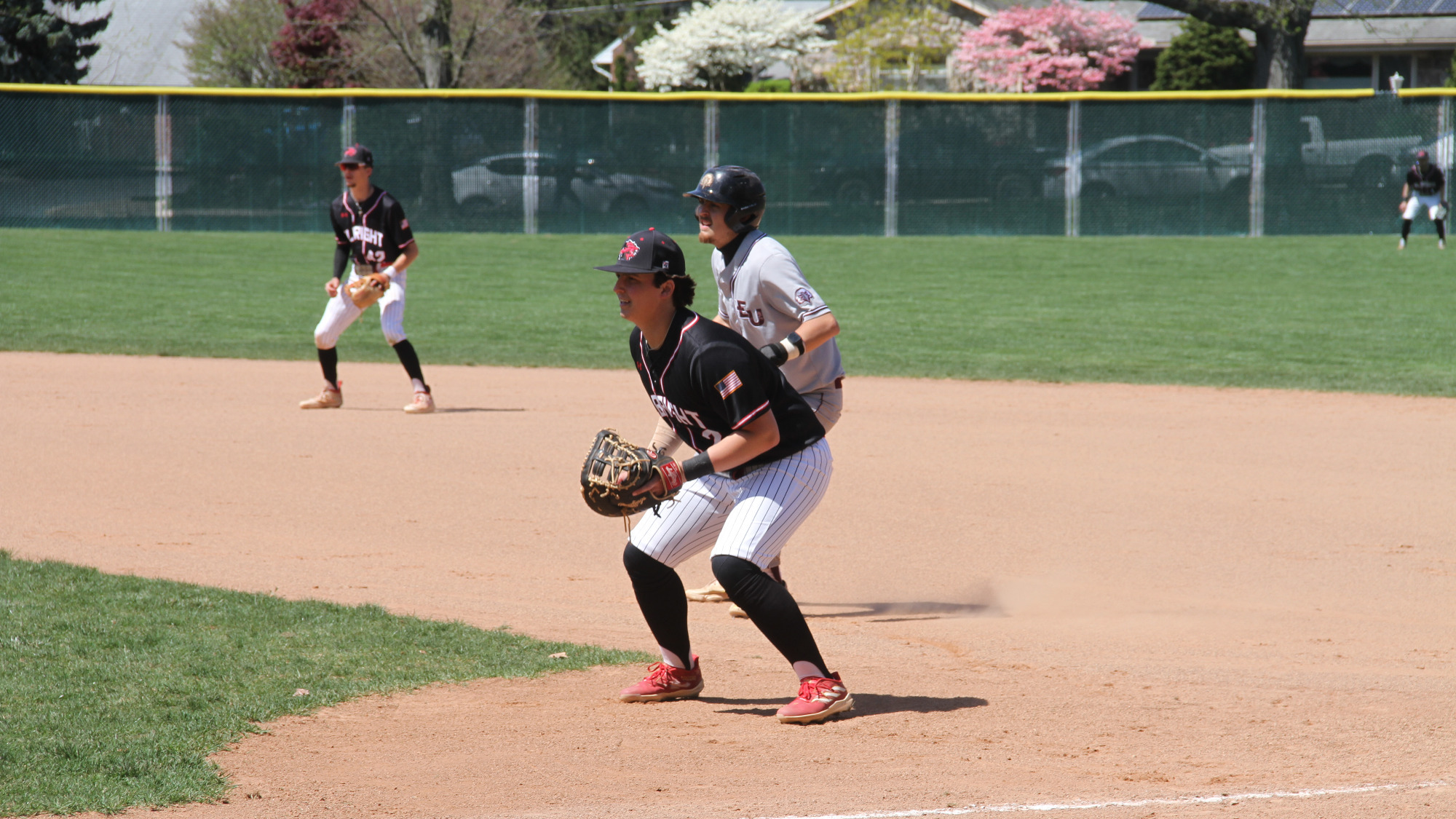 Domenic Borelli - Baseball - Albright College Athletics