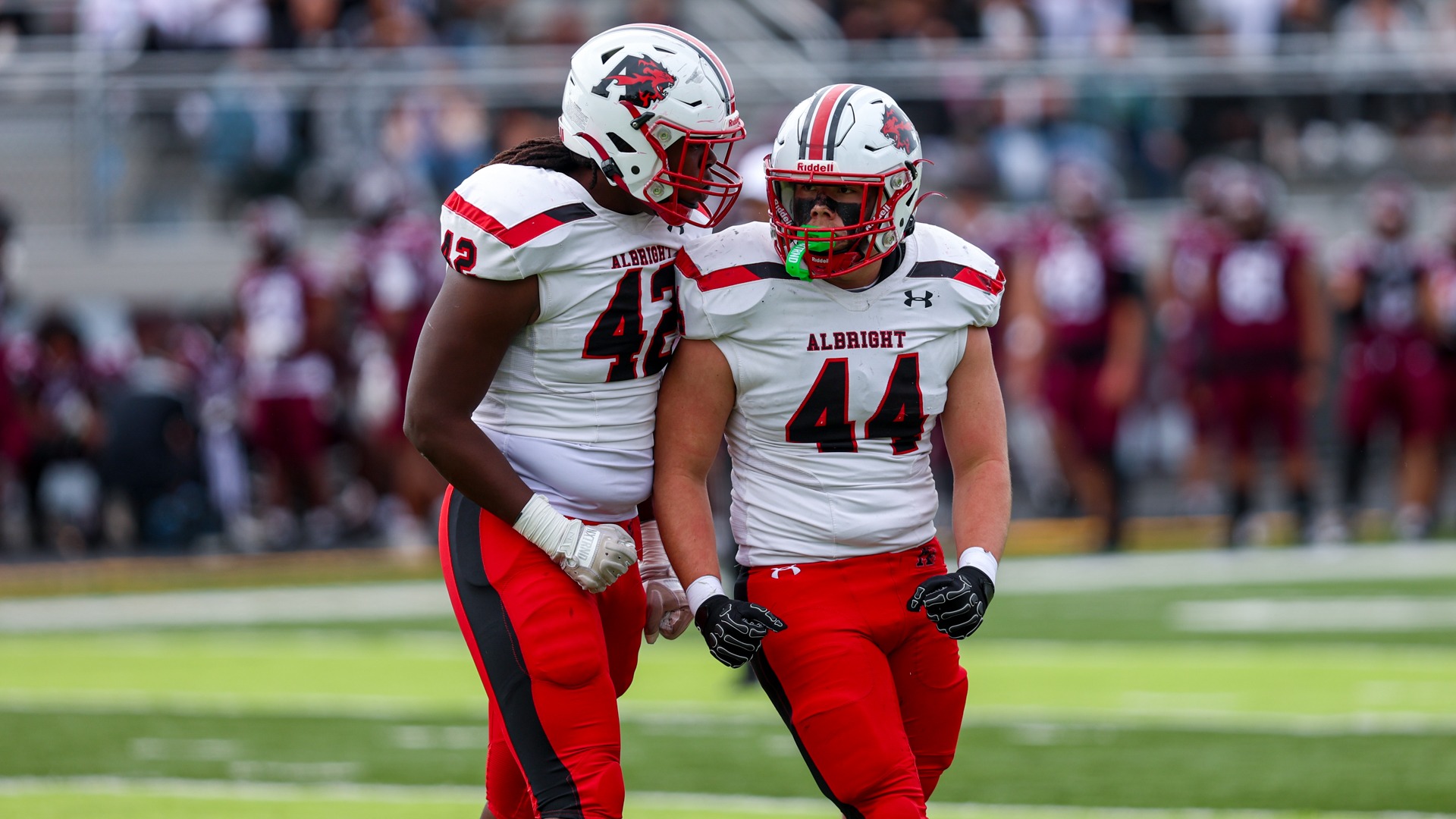 Football to Face Alvernia Following Bye - Albright College Athletics