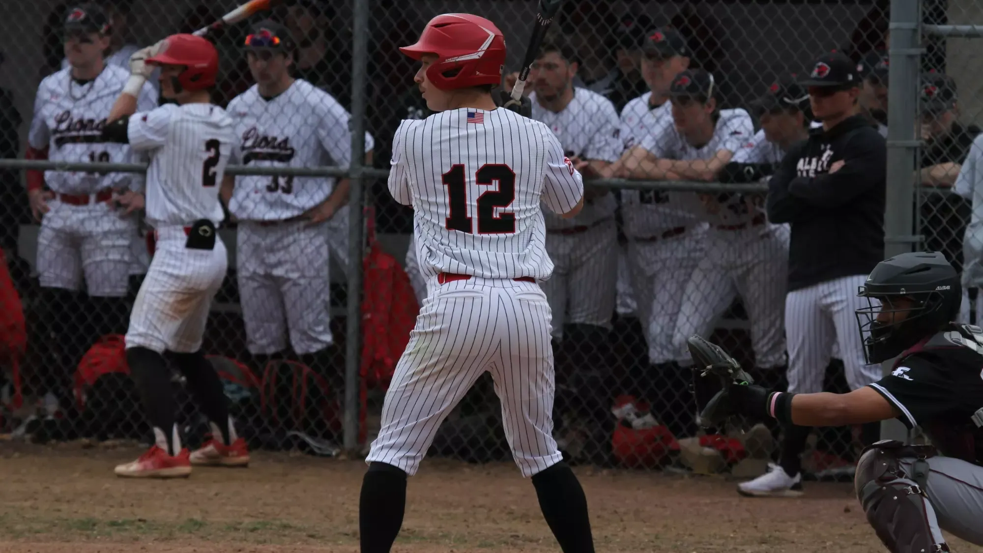 Bring It Home! Kelchner Field Renovation Project - Albright College ...