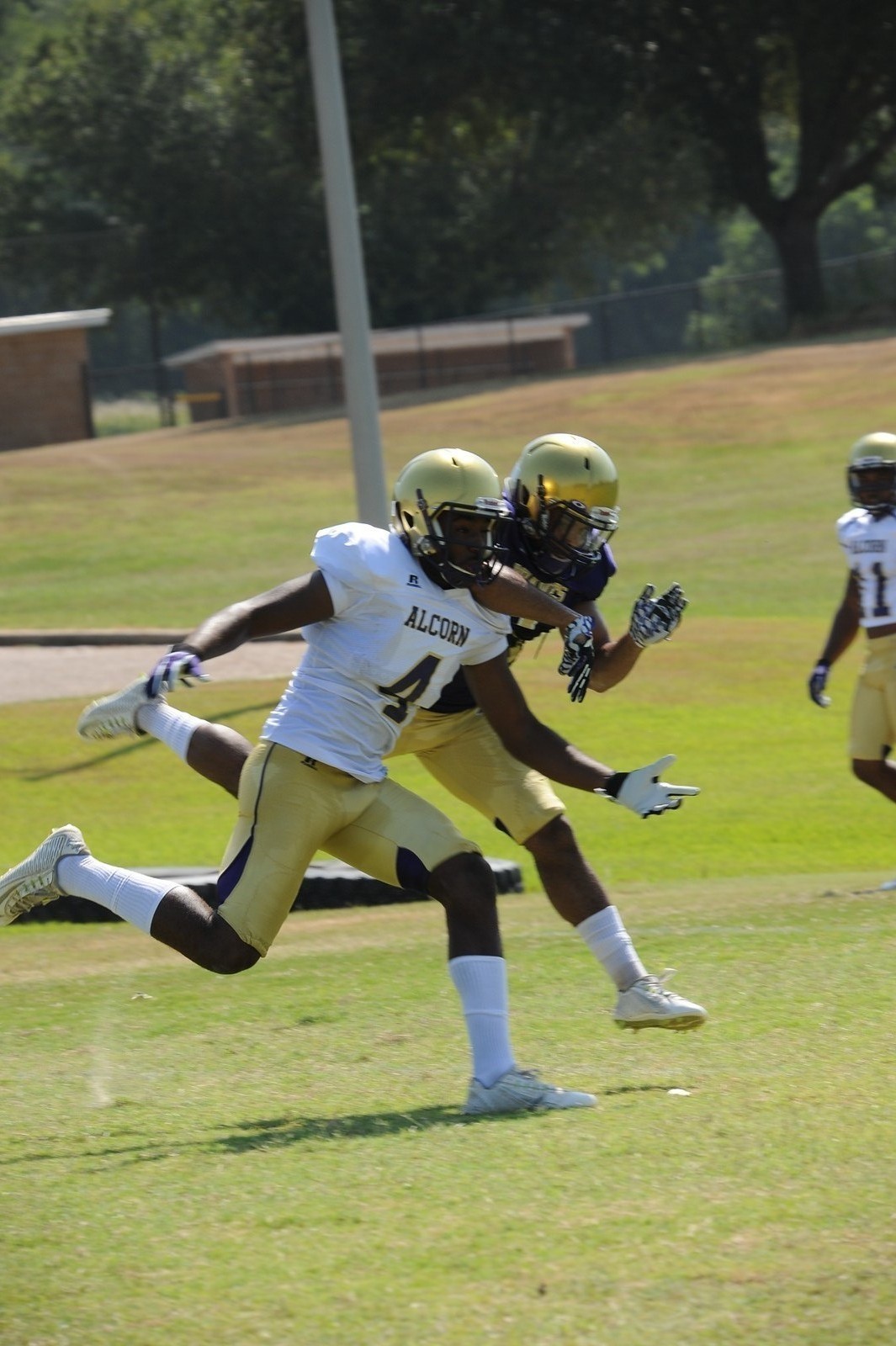 Charles Hughes - Football - Alcorn State University Athletics