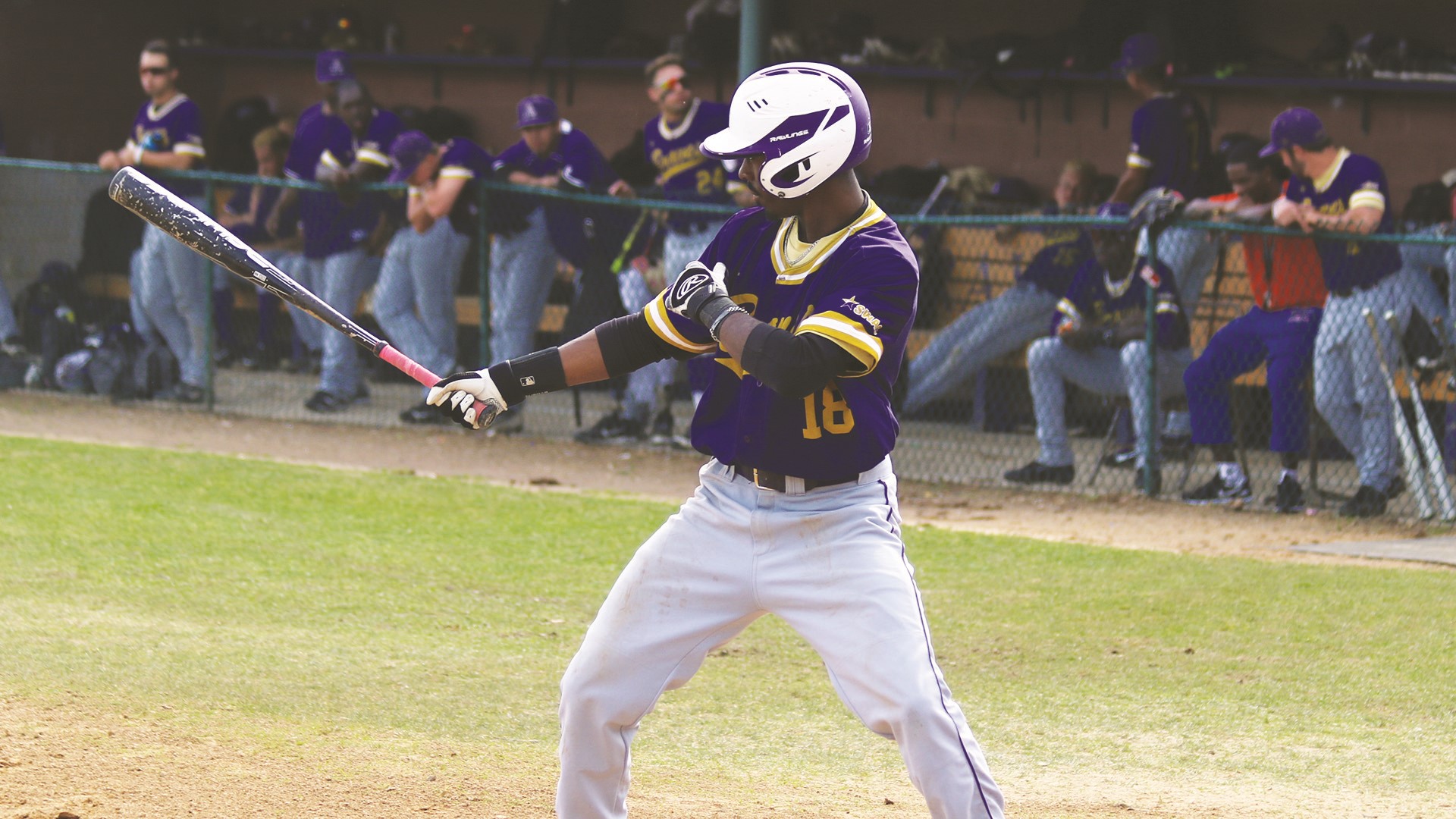 D'Vennio Warner - Baseball - Alcorn State University Athletics
