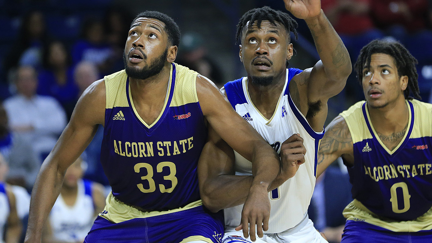 Devon Brewer - Men's Basketball - Alcorn State University Athletics