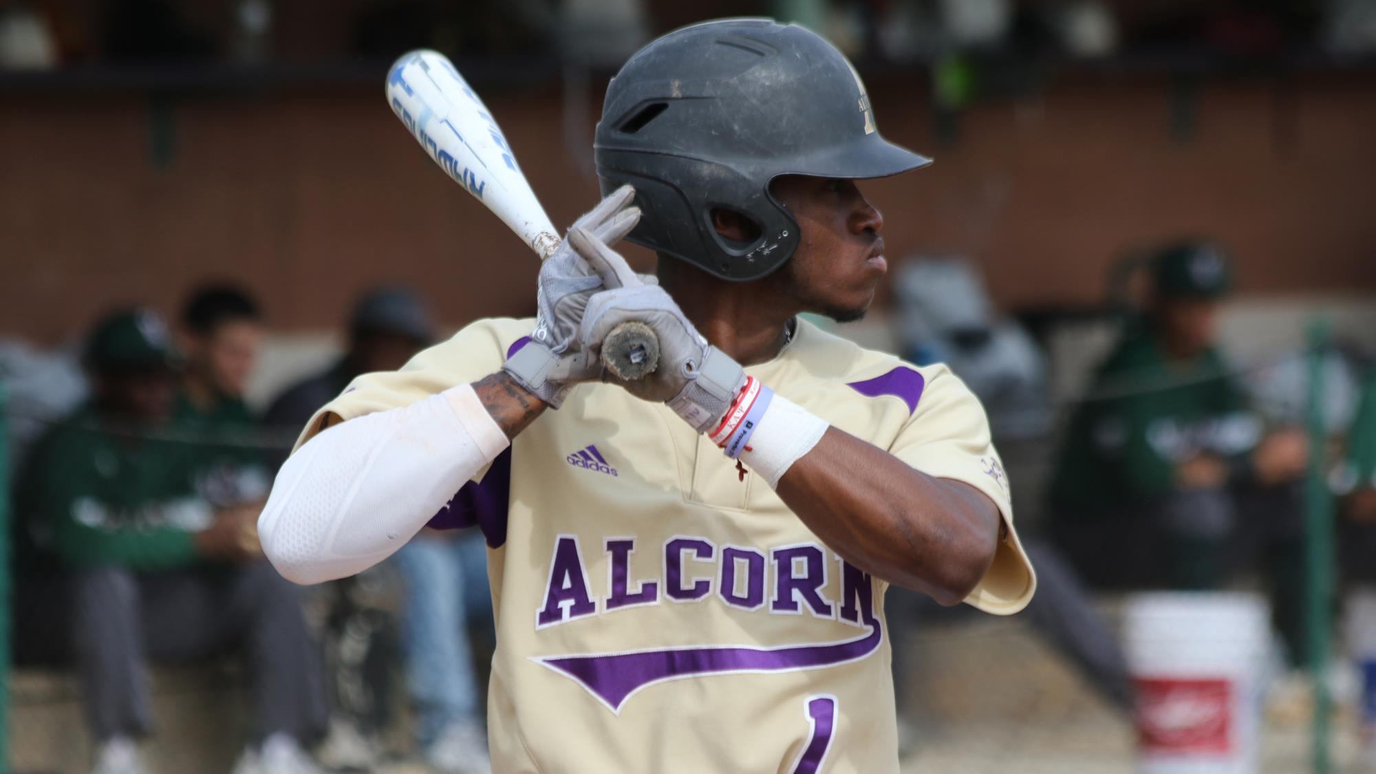 Micah Walker - Baseball - Alcorn State University Athletics
