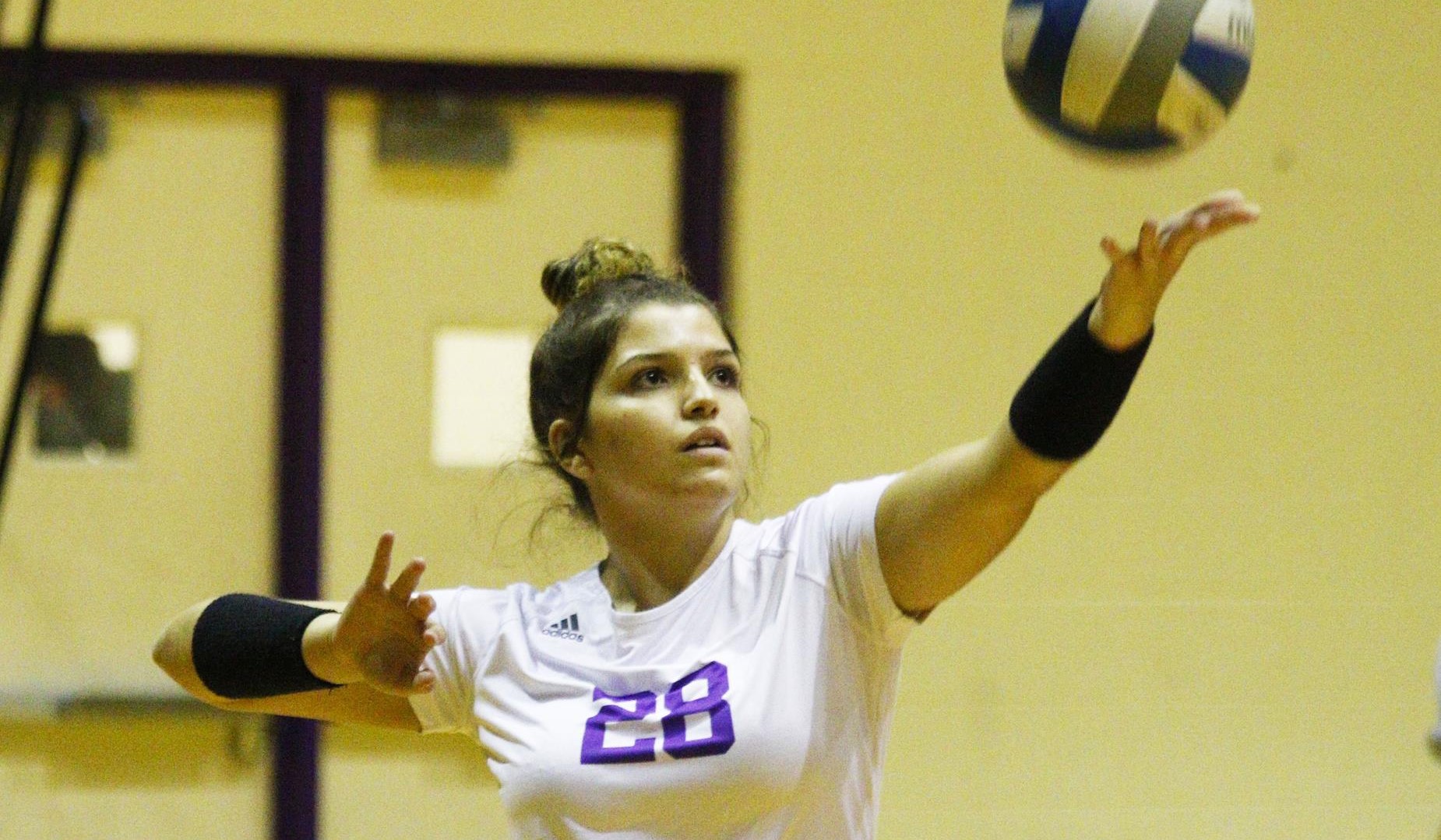 Maria Rentas-Correa - Women's Volleyball - Alcorn State University ...