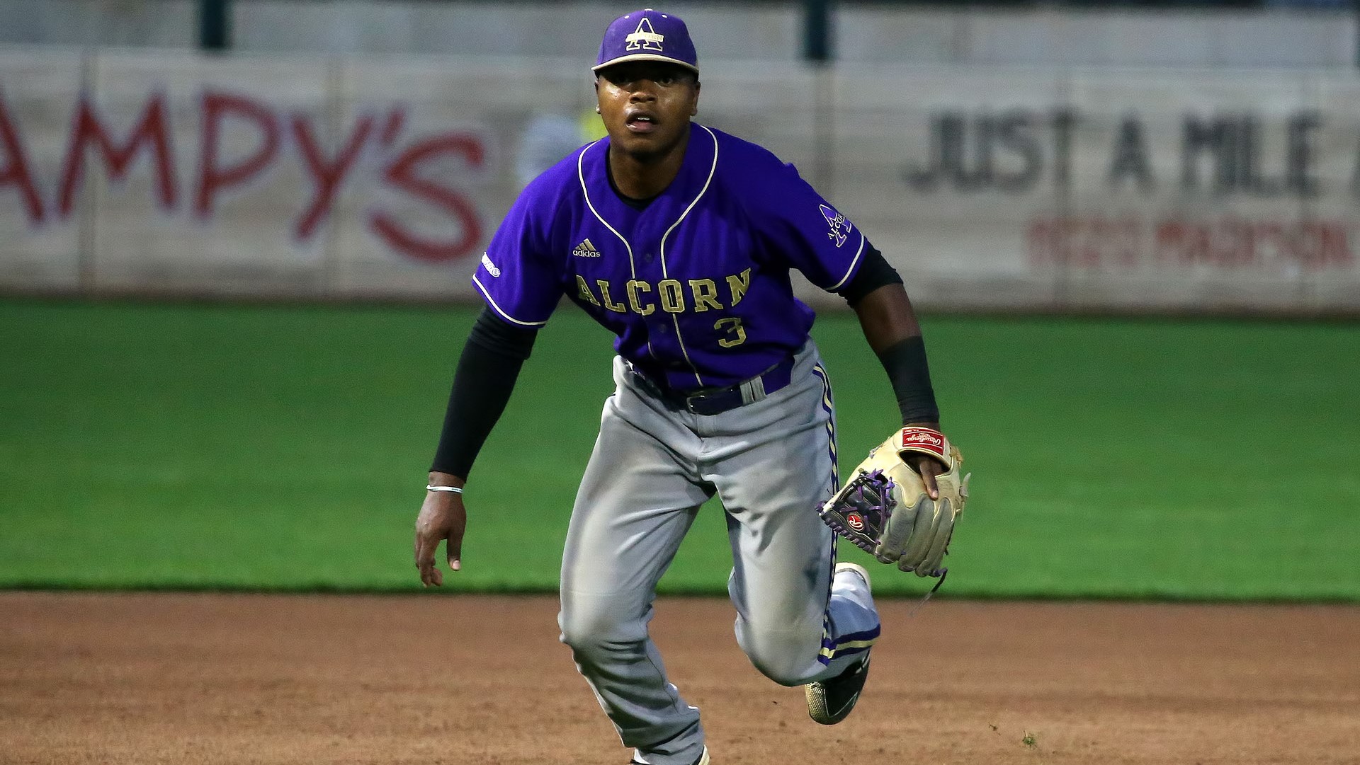 Tyler Daniels - Baseball - Alcorn State University Athletics